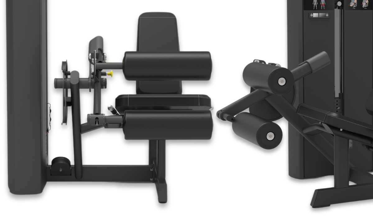 Seated Leg Curl